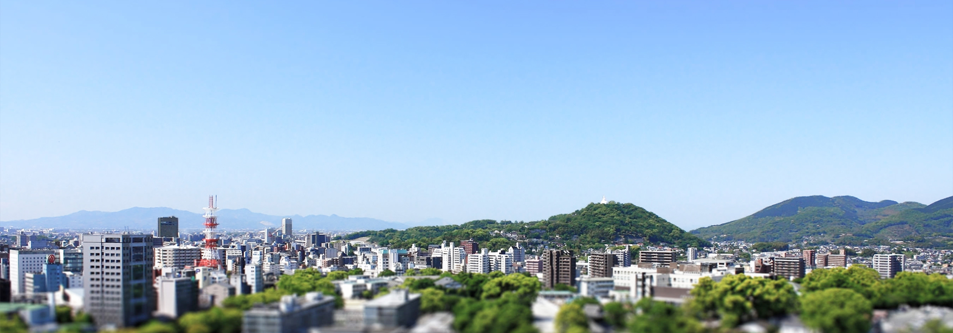 Home page [minhhoavo.github.io]